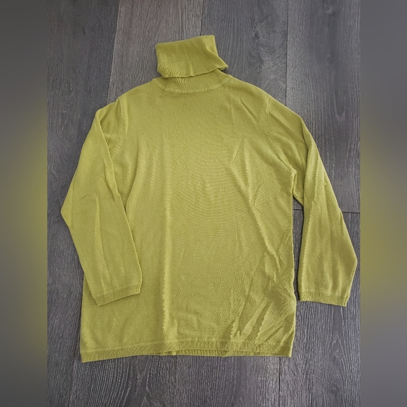 Zara | Tops | Zara Turtle Neck Sweater | Poshmark